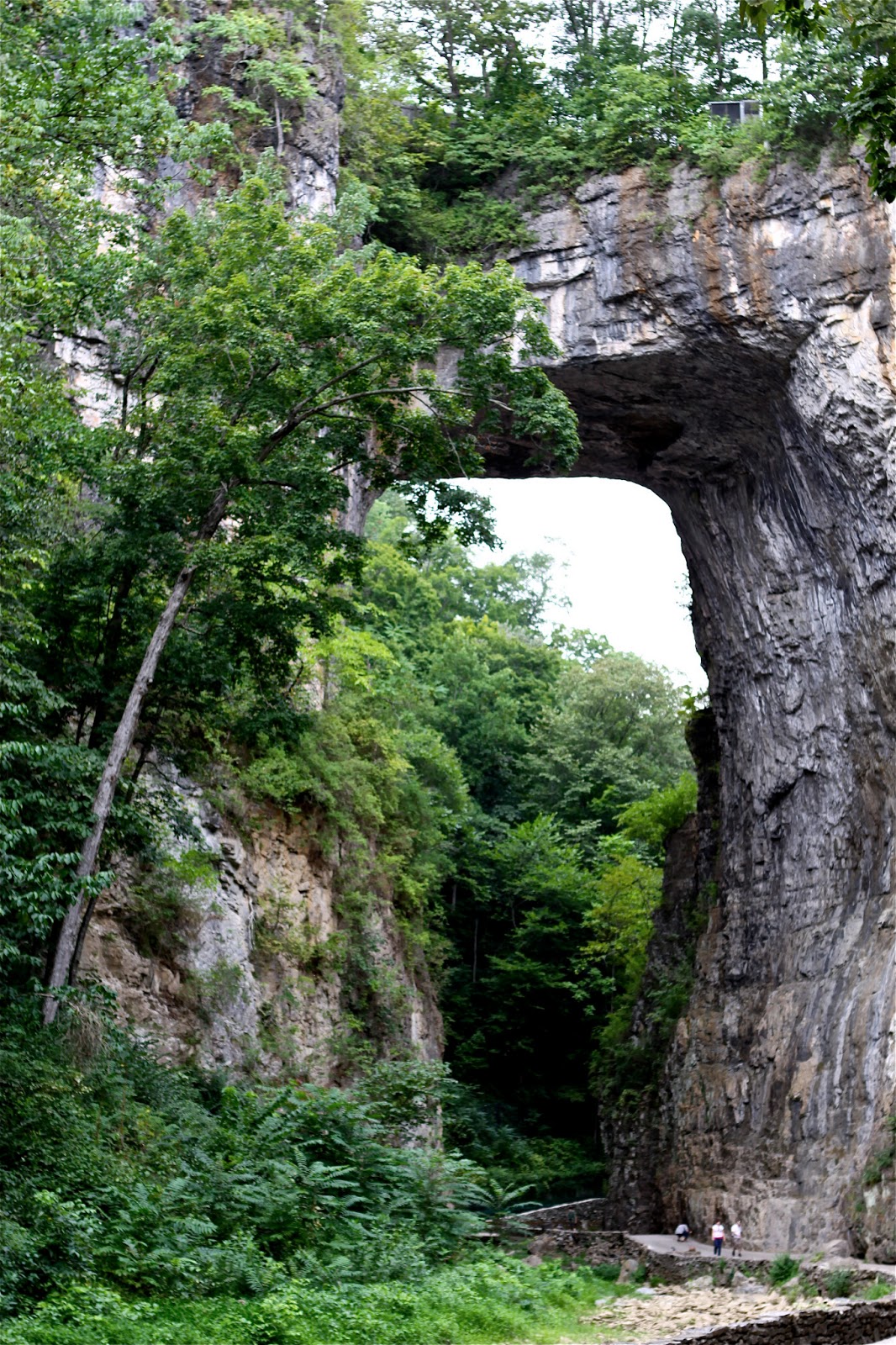 Sweet Southern Days: On The Road Again