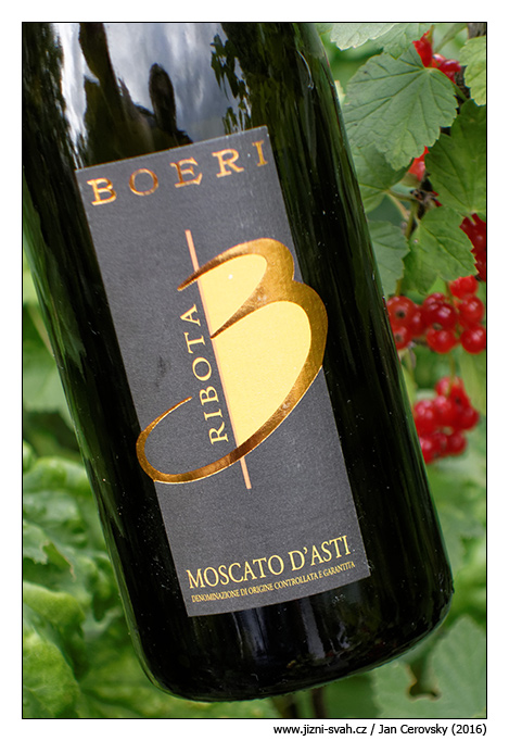 Riva Arsiglia & Moscato d'Asti Ribota | Jižní svah - nejen o víně