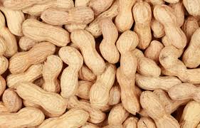 Groundnut