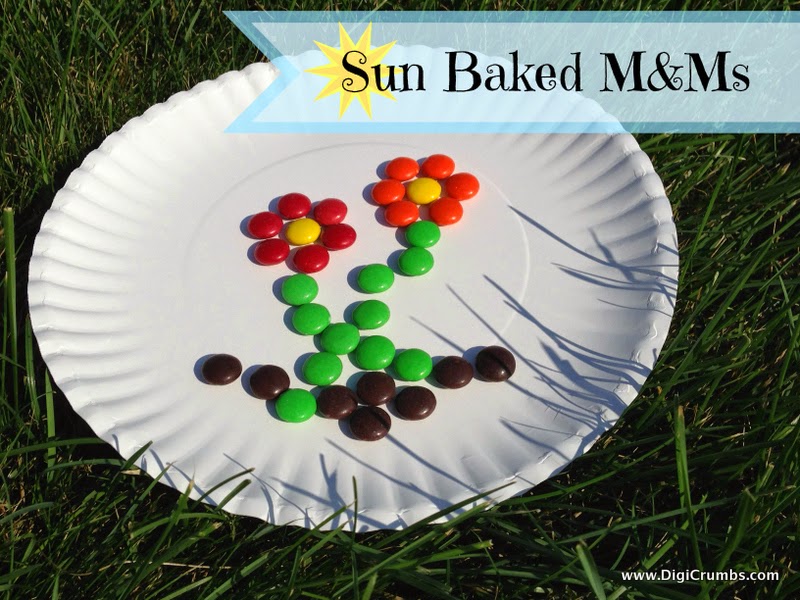 DigiCrumbs: Sun Baked M&Ms - A Super Easy Craft and Recipe!
