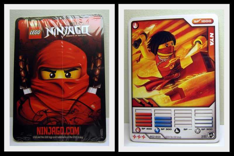 The Brick Brown Fox: Lego Ninjago 2172 Nya