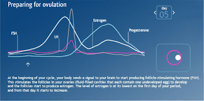 General Science Info: Ovulation Spotting