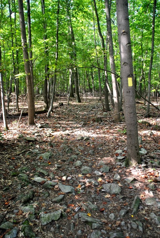 Southeastern PA Hiking: Horse-Shoe Trail - Valley Forge to Great Valley ...