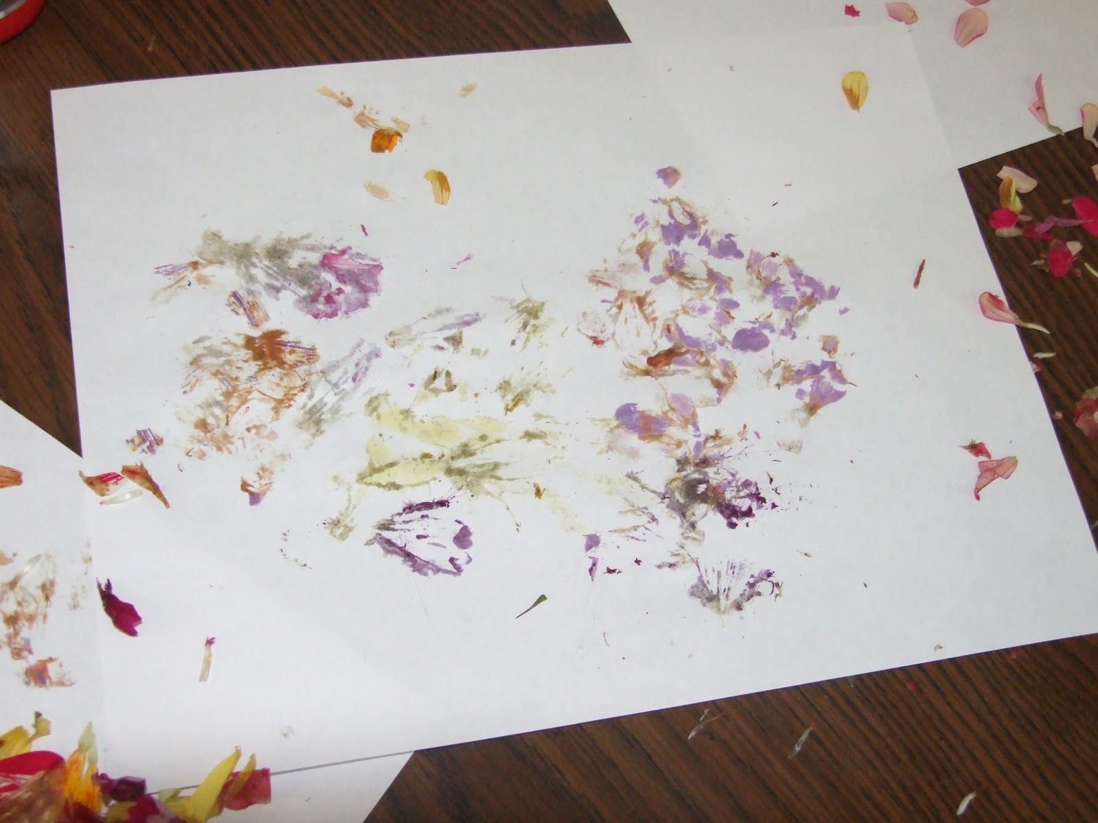 Blissful Moments: Flower Smashing Science