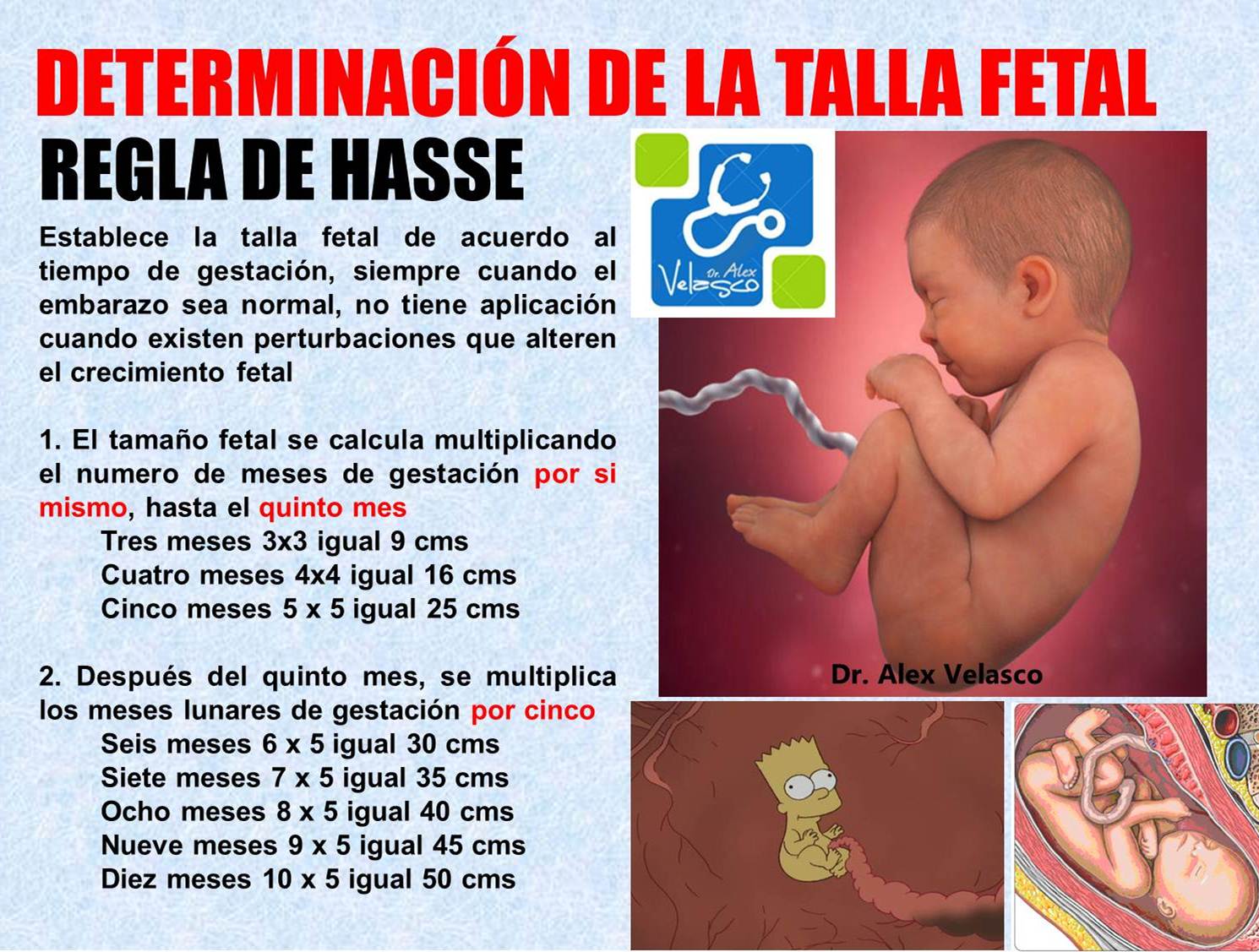 CÁLCULOS OBSTETRICOS ~ Dr. Alex Velasco