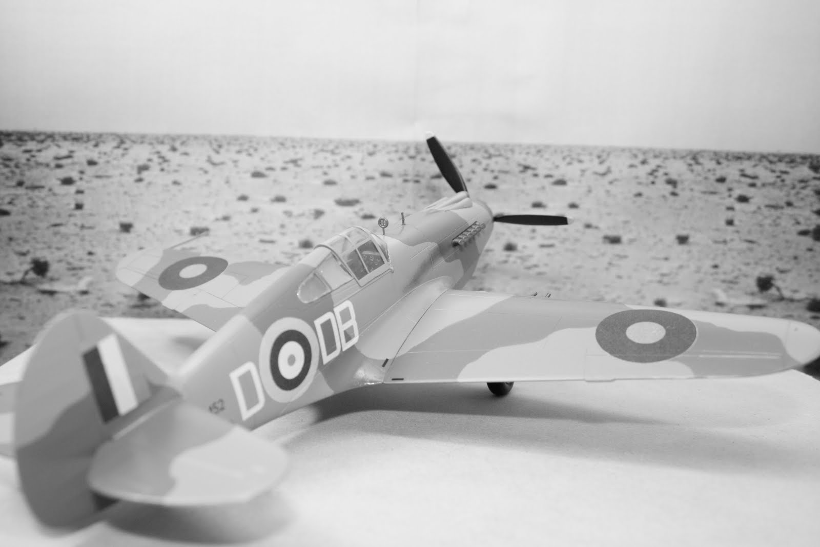 The South African Air Force In Scale: Curtiss P-40 Tomahawk Mk.IIB