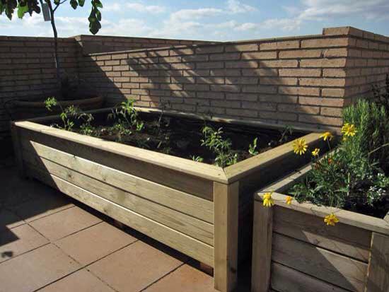 Kỹ thuật cách trồng rau sạch tại nhà siêu dễ nhớ - Sáng tạo xanh