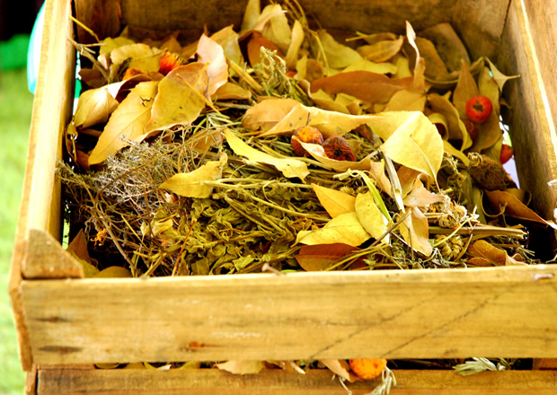 Mi Huerto en Casa: BENEFICIOS DE HACER COMPOSTA