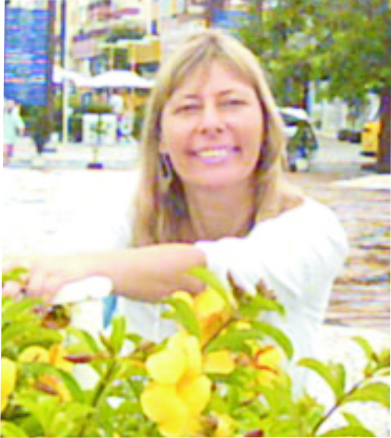 Lutas surdas: KARIN STROBEL, SOBRE A LÍNGUA DE SINAIS: "MINHA ...