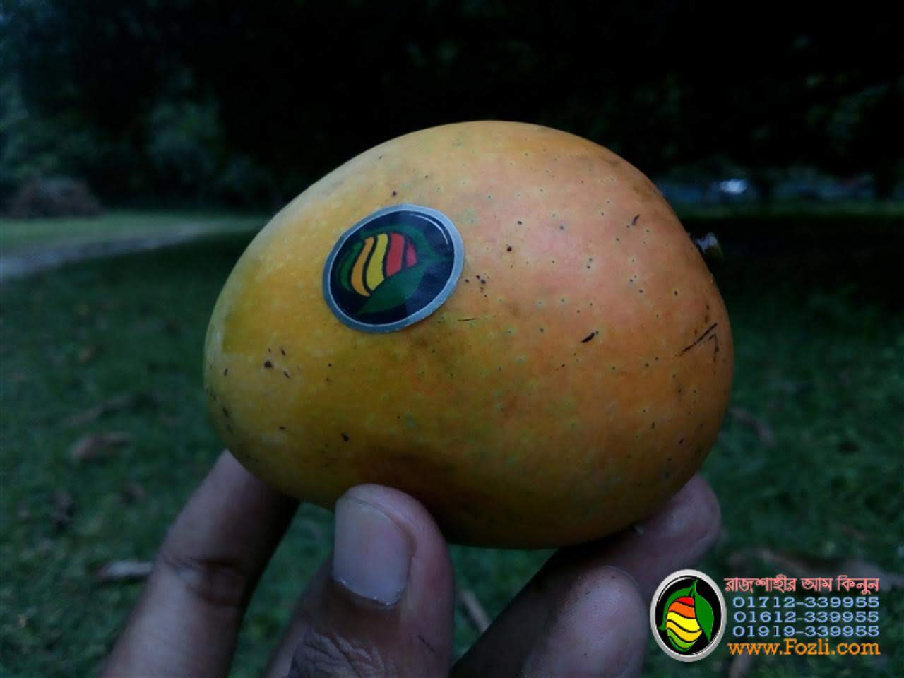 Fozli Mango Pack: আমের ছবি