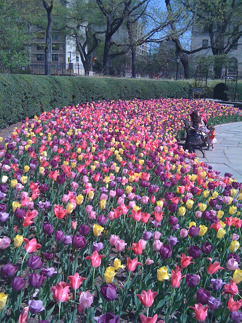 Edge of the City: Spring Scenes