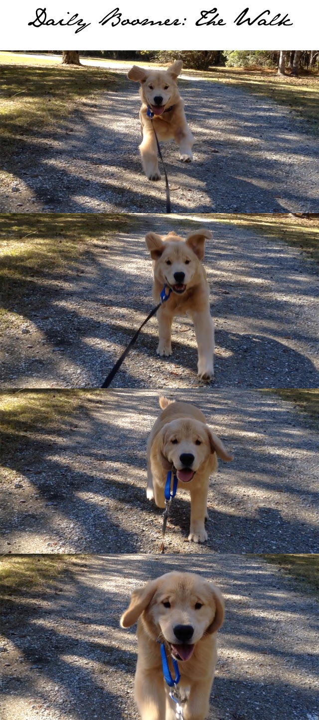 Daily Boomer: The Walk - Emily Jane Johnston