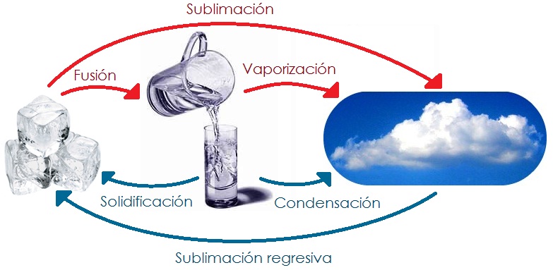 ciencia y vida