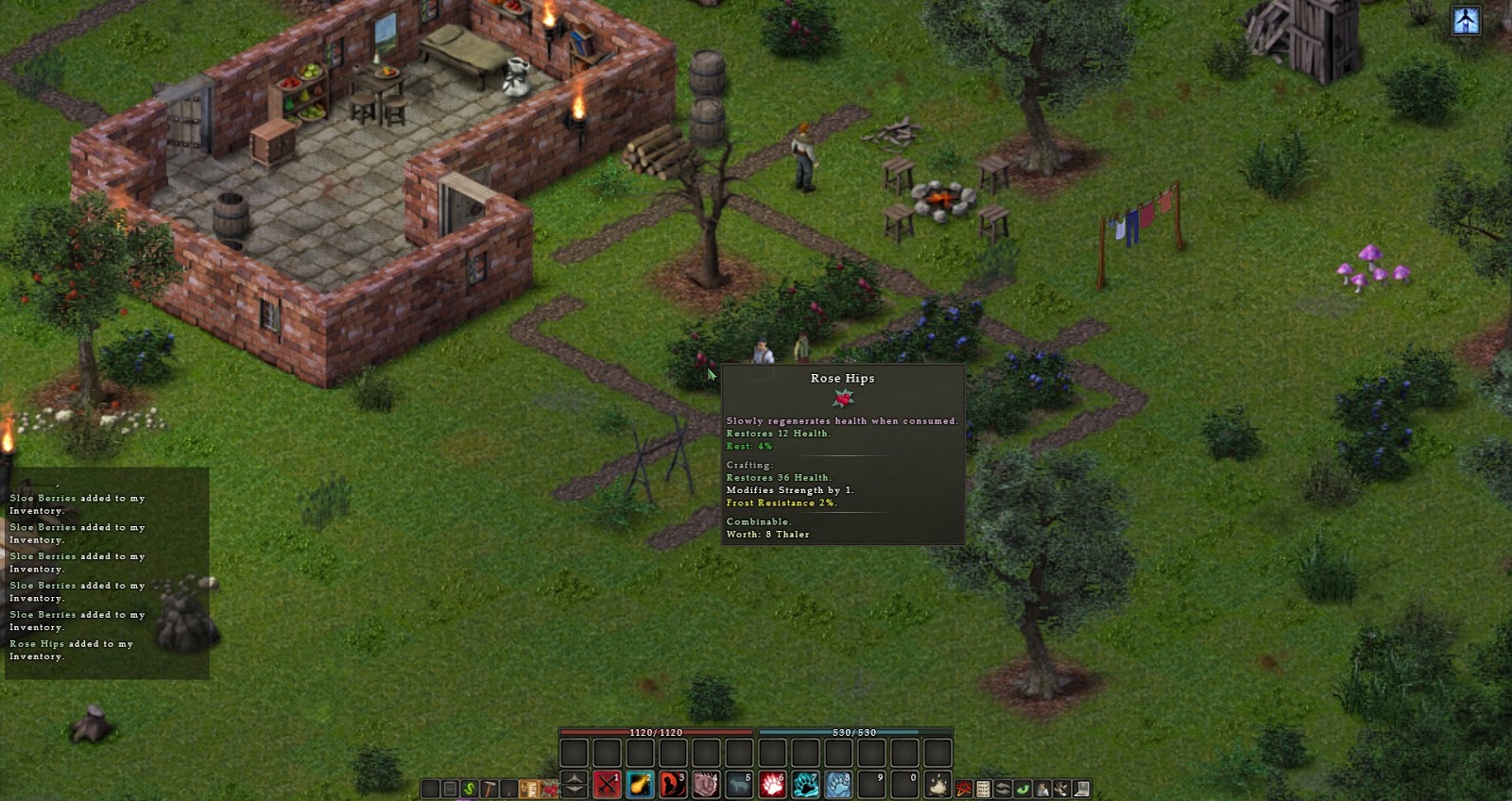 CRPG Revisiting old classics: Balrum - The first ten hours