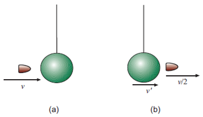 Inelastic Collision Problems and Solutions - JEE-IIT-NCERT Physics & Math