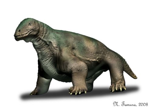 Palaeocritti Blog: Moschops capensis