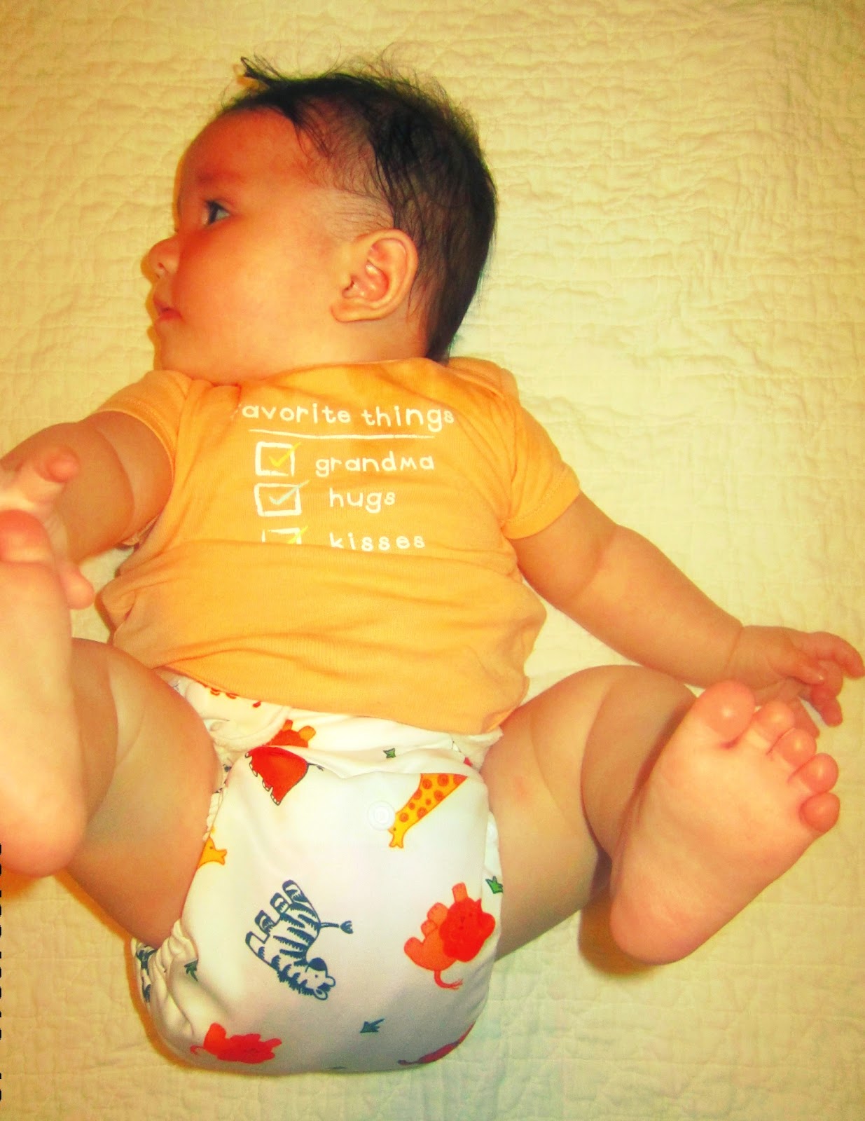 Chetopian Family: Cloth Diapering Baby Girl