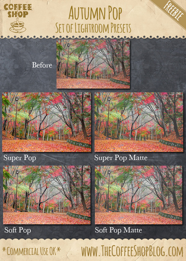 The CoffeeShop Blog: CoffeeShop Lightroom Preset Pack: Autumn Pop!