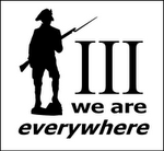 3%LibertyGirl: What is a Patriot.What is a Militia? What is a 3%er