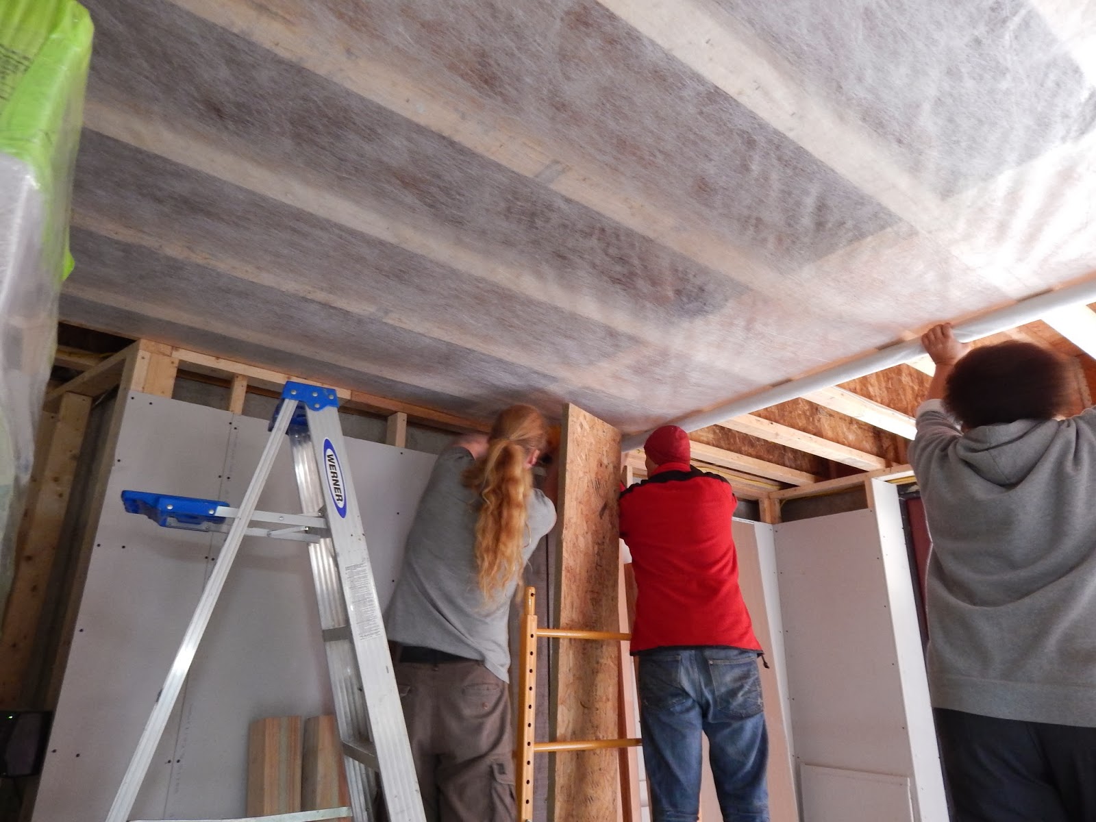 The Lake House Project: The Cellulose Insanity Begins