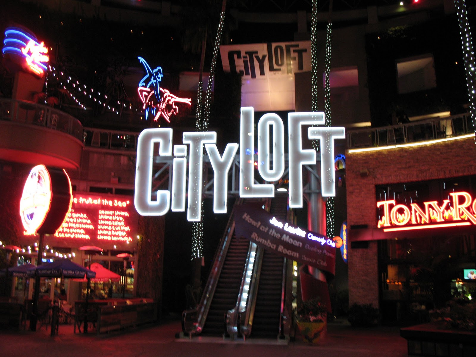 Martin & Susan Johnson - World Tour