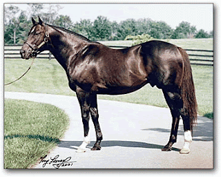 Springstone Horses: When They Say a Sire "Stamps" His Progeny