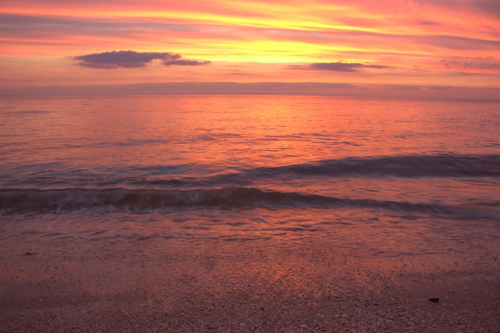 All Things Ming: Summer's Splendor