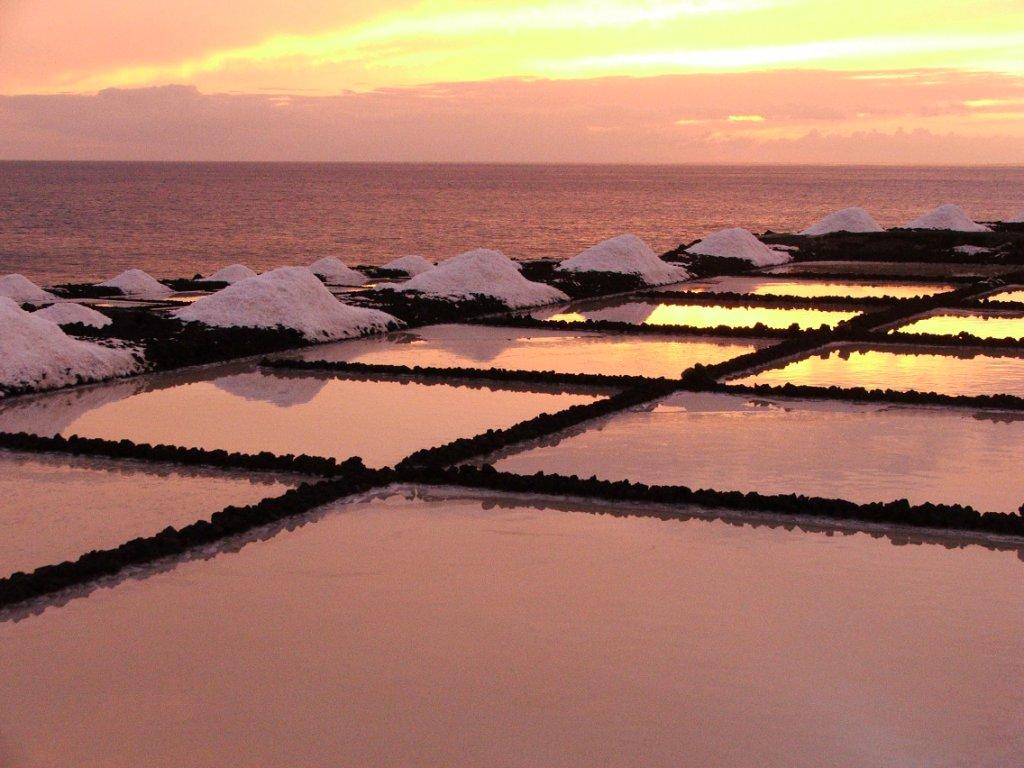 Ensalada de palabras: ADARCE