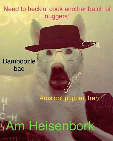 Bamboozled Again: 11 Pictures of Puppers Who Bamboozled Us Again