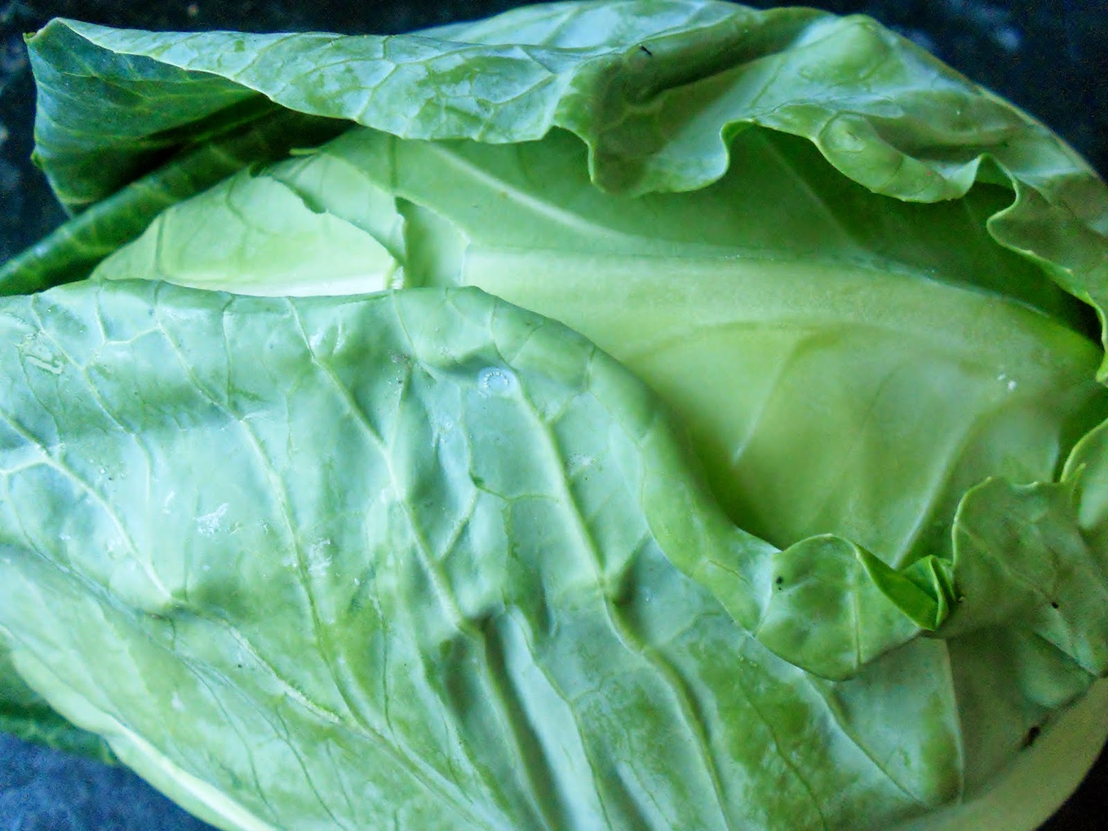 Fresh this Month (and next): Pointed (hispi, sweetheart) Cabbage