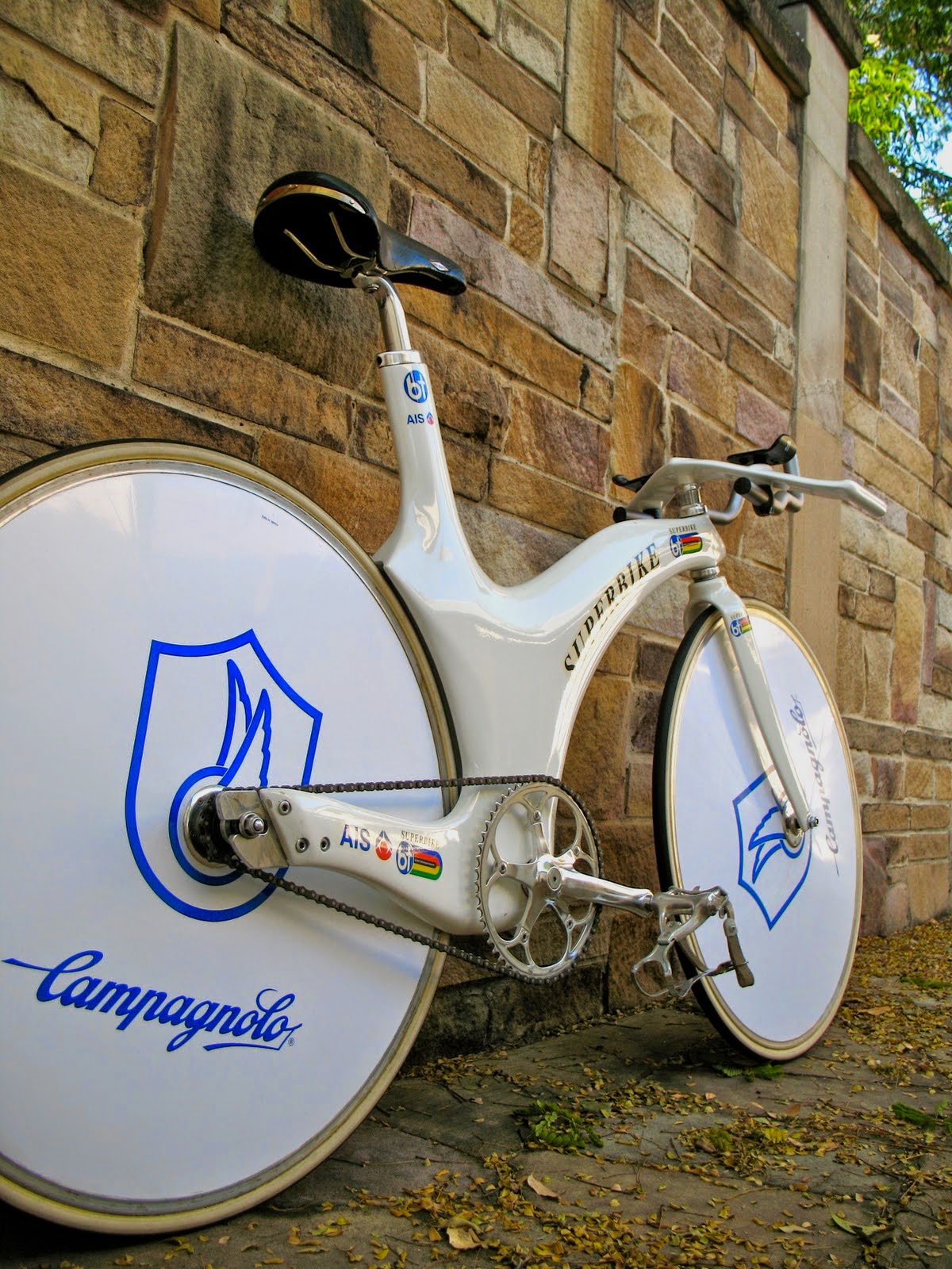 campagnolo delta brakes