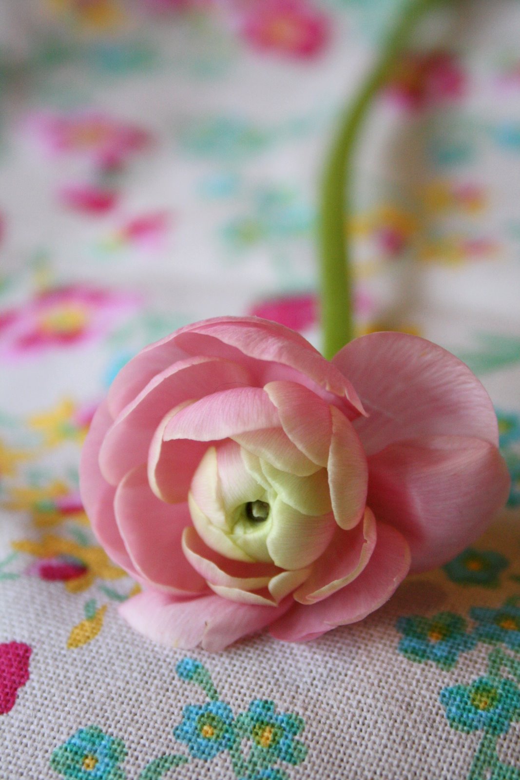 Madelief: Flower Power