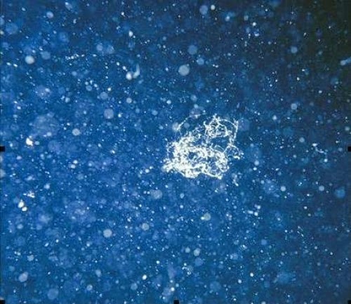 Carbonacea: November 2014