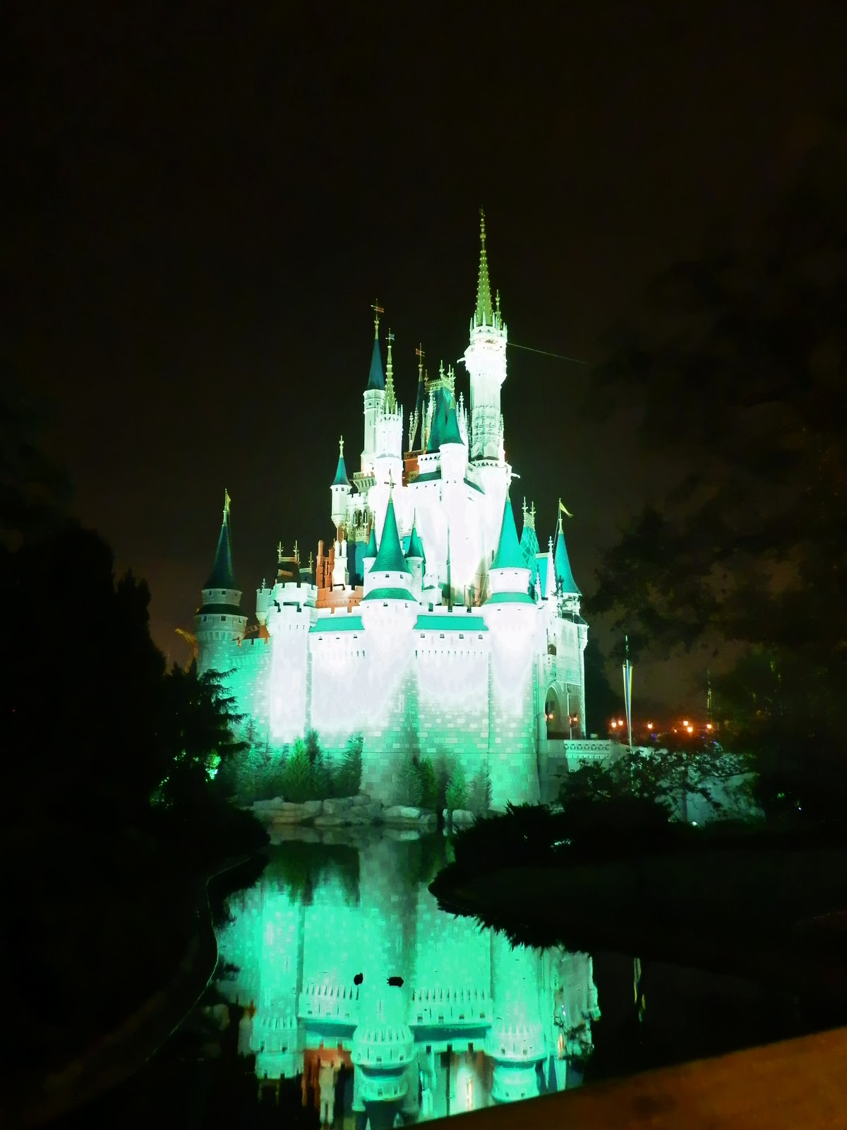 Disney Vacation Kingdom: Cinderella Castle At Night