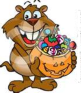 Shawkat Elbialy: Can you figure out how it works