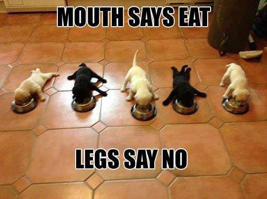 Most Funny Stuff 2013 | Funny Collection World