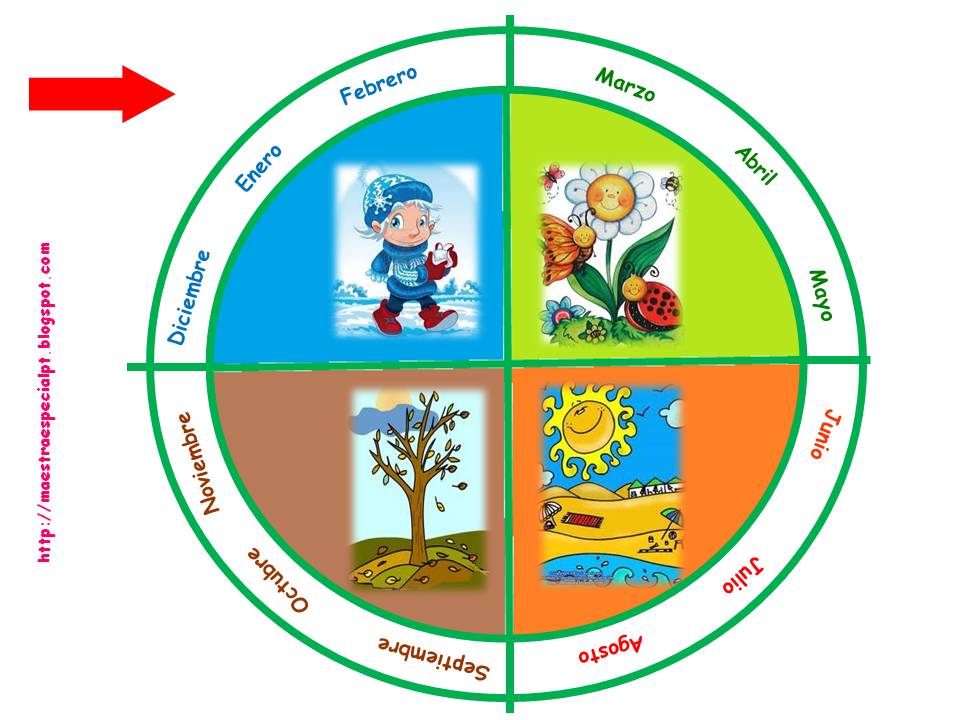 Elementary Education -MSU: LTR 307 TEACHING PORTFOLIO