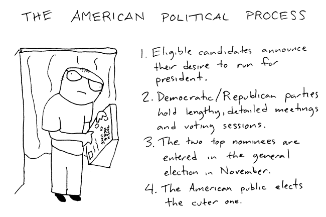 CubicCats: The American Political Process