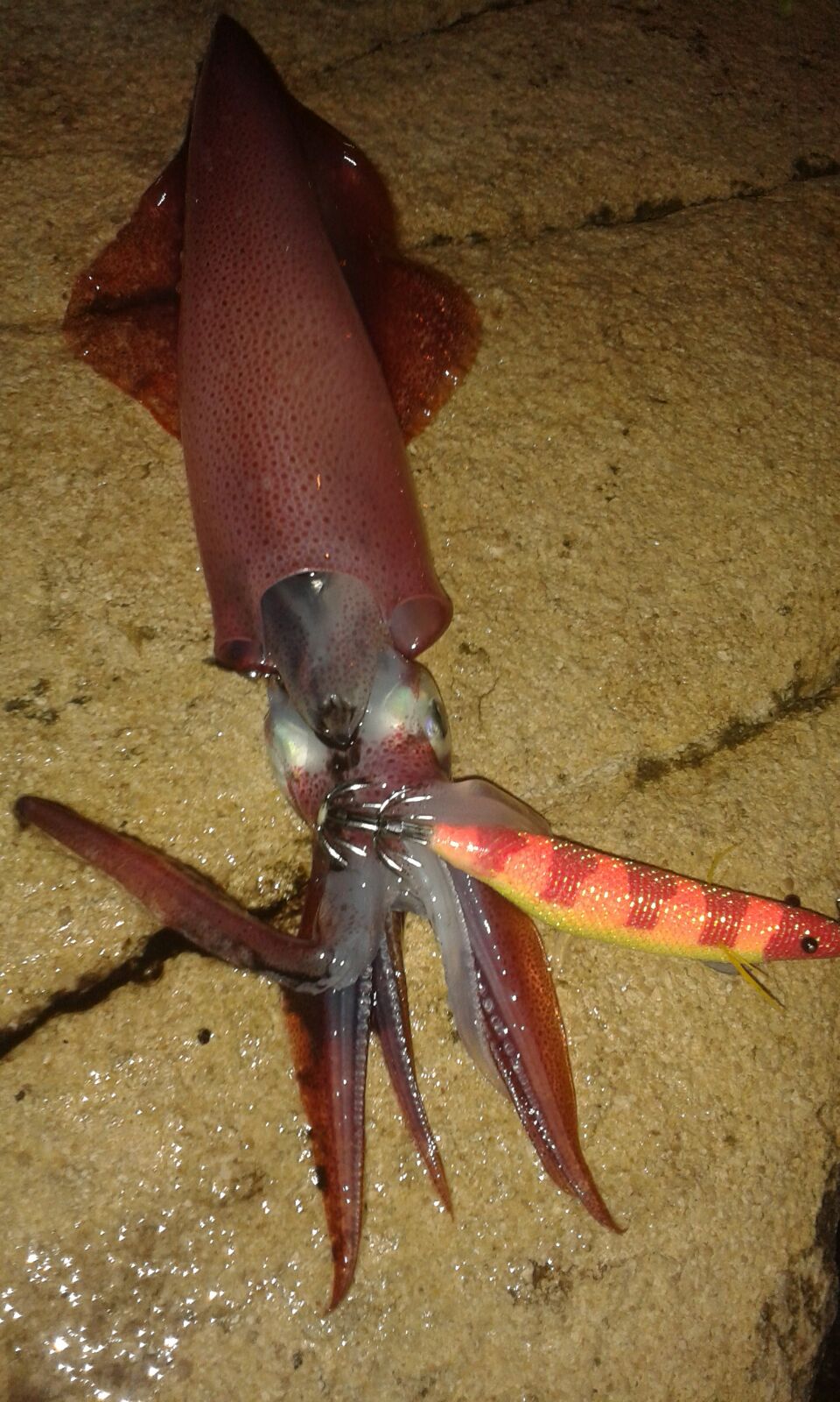 Xelaya-Gijon Poteras Artesanas de Asturias