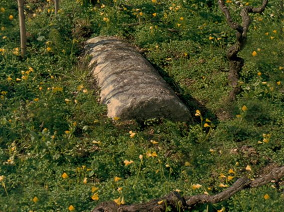 PALÁCIO DAS VARANDAS: Dois excertos