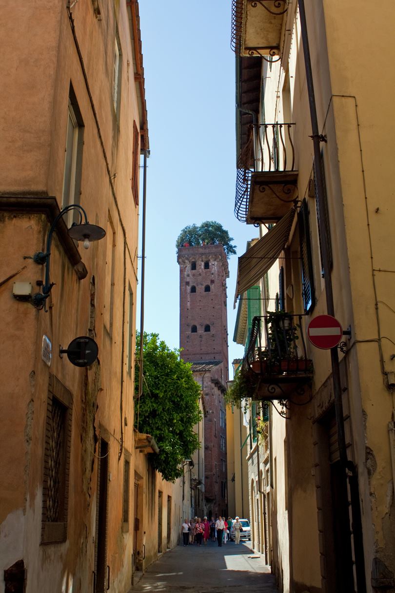 Guinigi Tower Crowned With Oak Trees