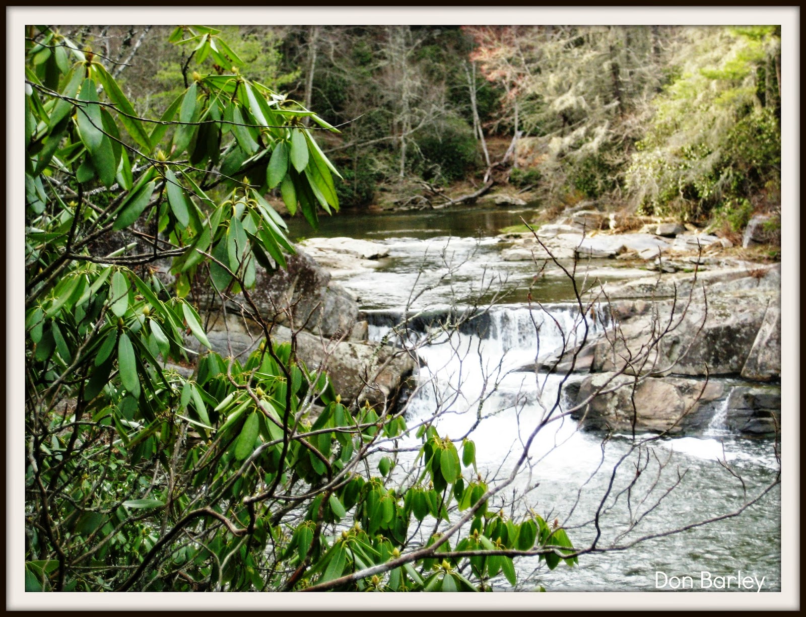 Jungle Red Writers: "Oh, Kaye!" Talks About Life In Meat Camp, NC