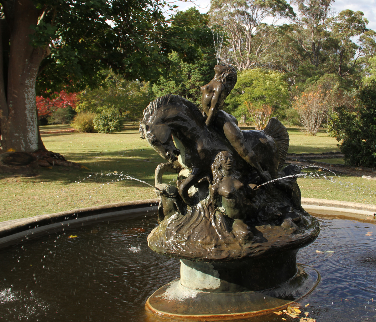 Le Noeud Papillon Of Sydney - For Lovers Of Bow Ties: The Magical World ...