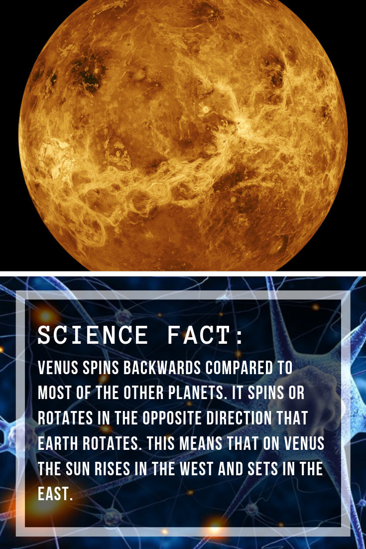 Venus is the only planet to spin clockwise | Amazing WTF Facts