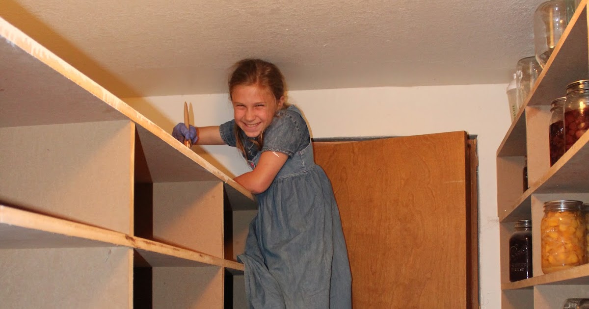 The Siefka Family: Halstead Reunion