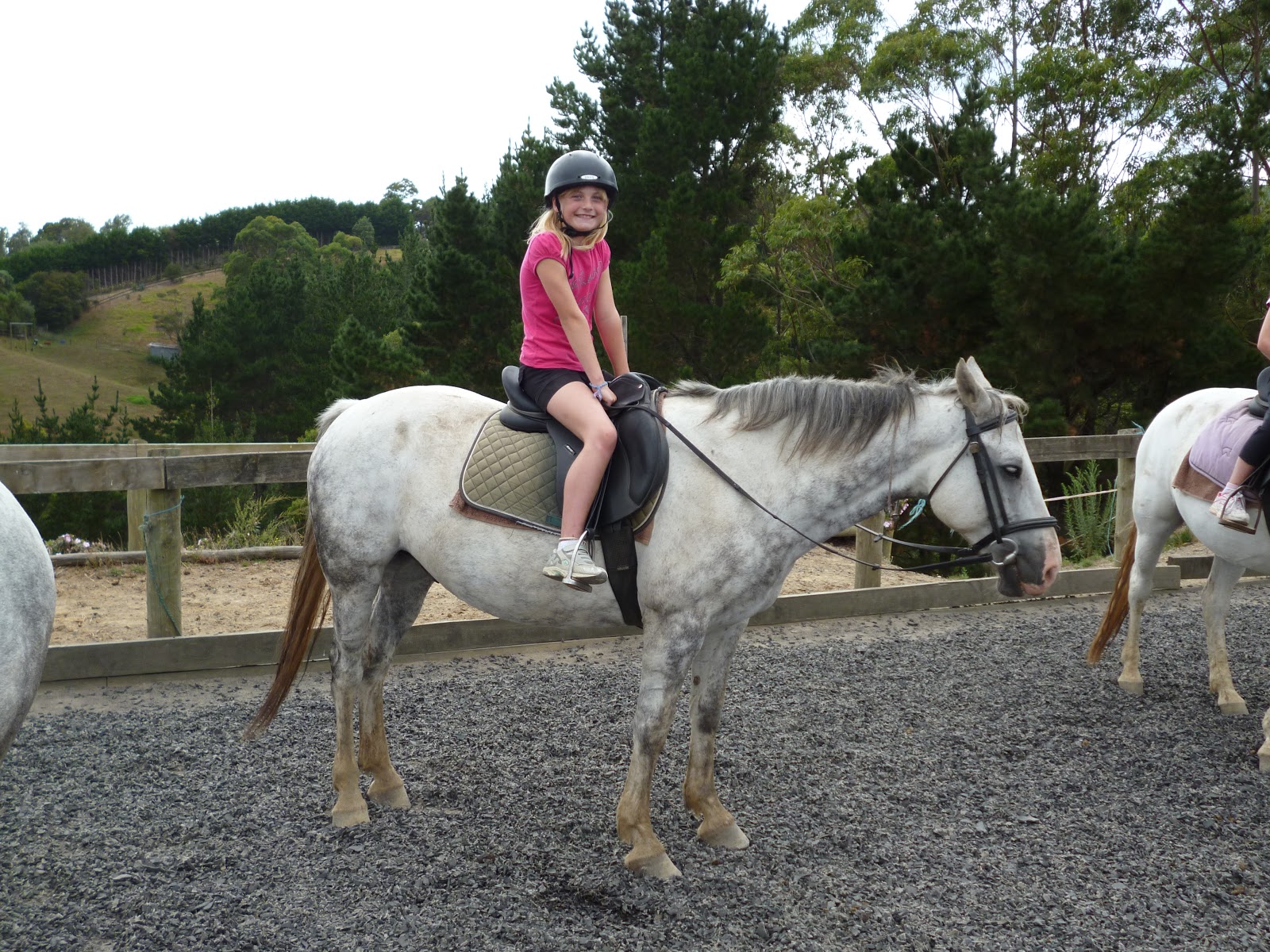 FABULOUS FIFTEEN AT BDS2013: Year 5 Camp at Sonshine Ranch