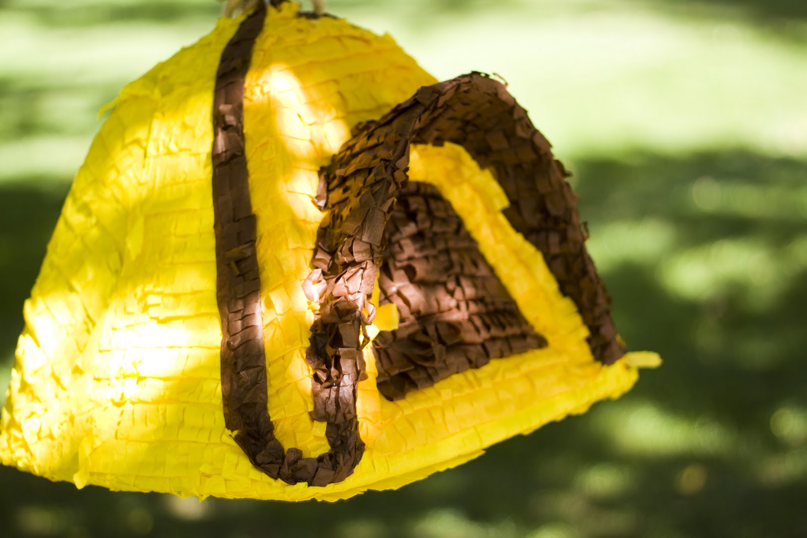 Sagers Family: Layton's Camping Party.. the details