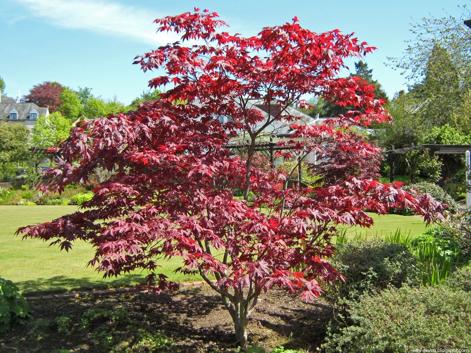 Emi Seven - Photography & Notes: Perth, The Fair City