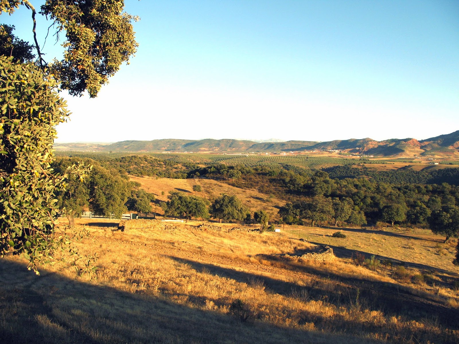 APRISCO DE GANADO - COLMENAR DE LOS GUERREROS | PATRIMONIO MATERIAL