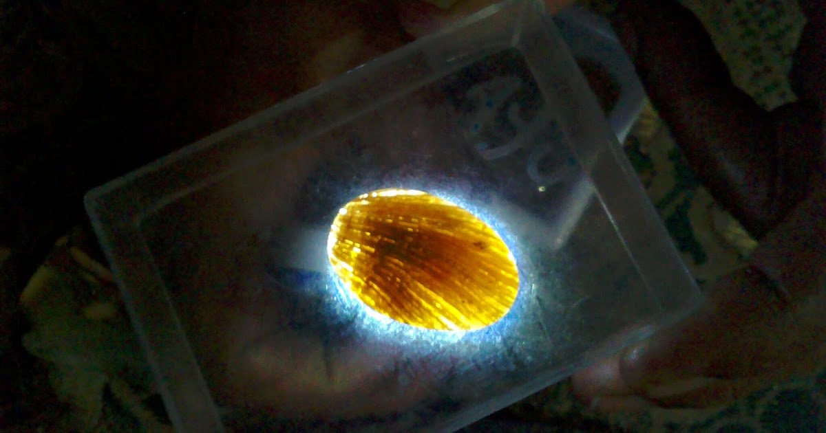 Batu Gading Petrified Wood and Stone Art: MANFAAT FOSIL KAYU (PETRIFIED ...